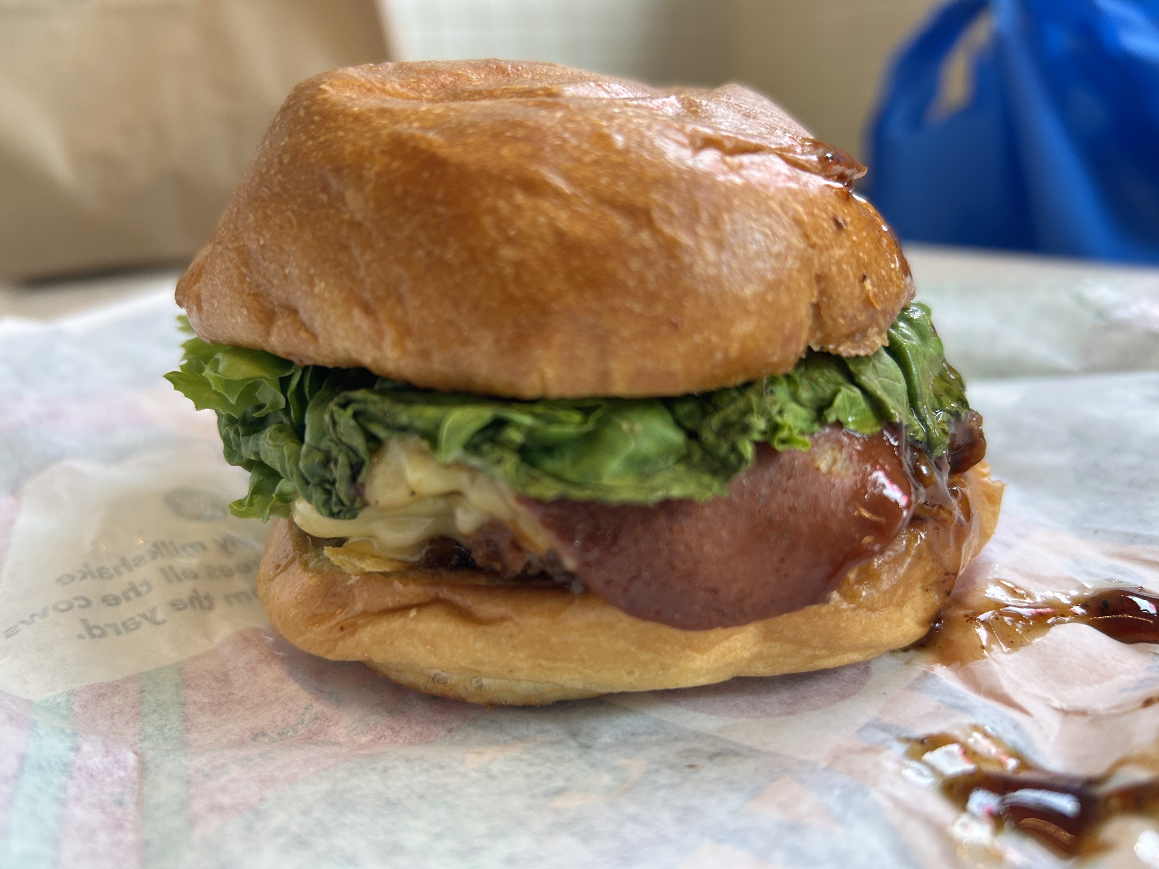 V Burger – Vegetarian Delight – Hitting the Sauce